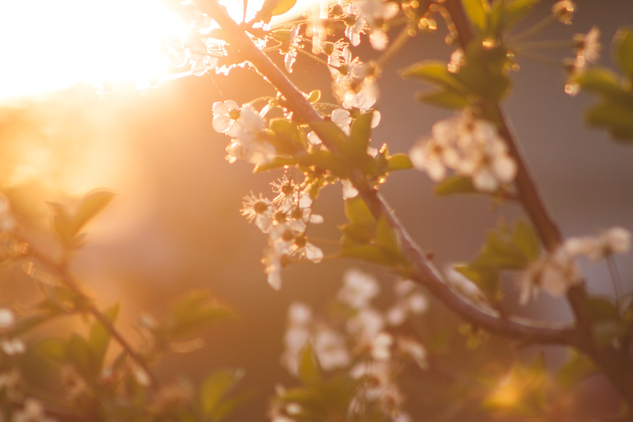 The Importance Of The Spring Season Siete Blog